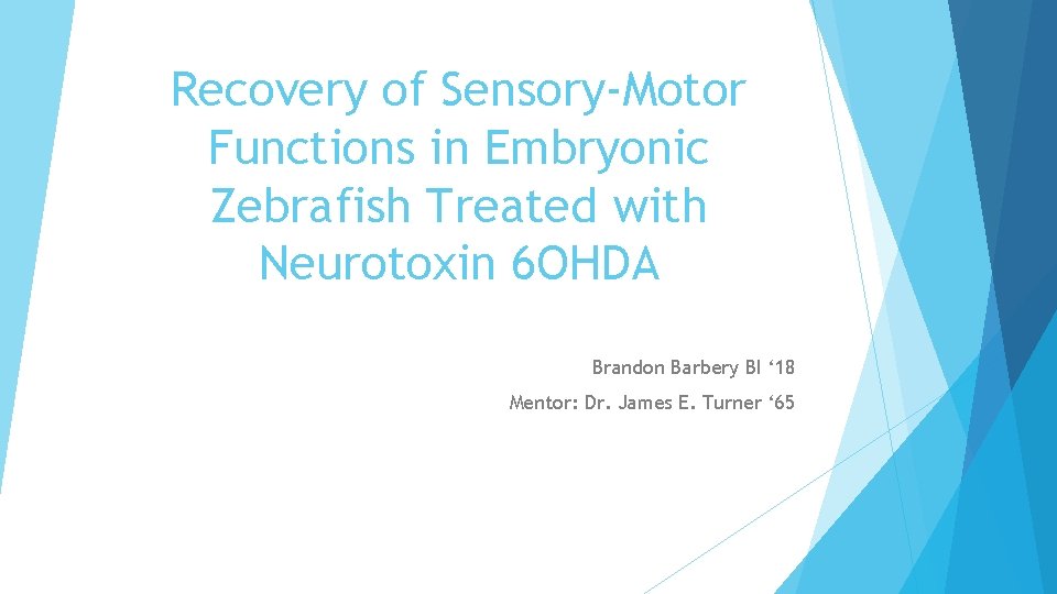 Recovery of SensoryMotor Functions in Embryonic Zebrafish Treated