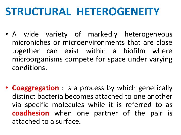 PROPERTIES OF BIOFILM Presented by Dr Krishna Das