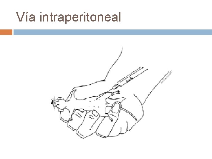MANEJO DE ANIMALES DE LABORATORIO Laboratorio de Fisiologia