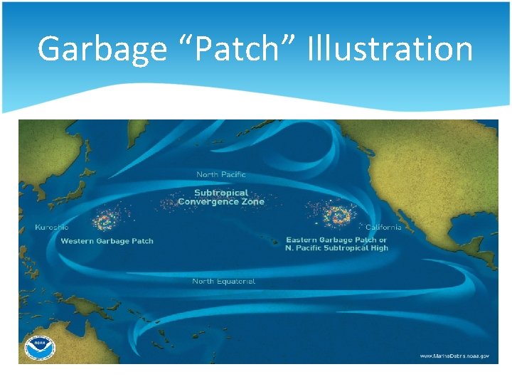 Great Pacific Garbage Patch Maria Diaz Rodriguez Humans