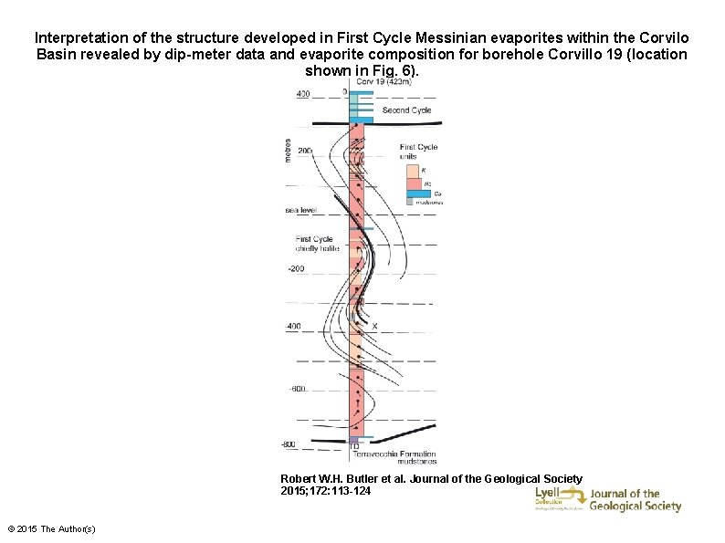 Stratigraphic variations control deformation patterns in evaporite basins