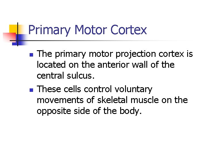 Brain anatomy cerebral hemispheres The cerebral hemispheres n