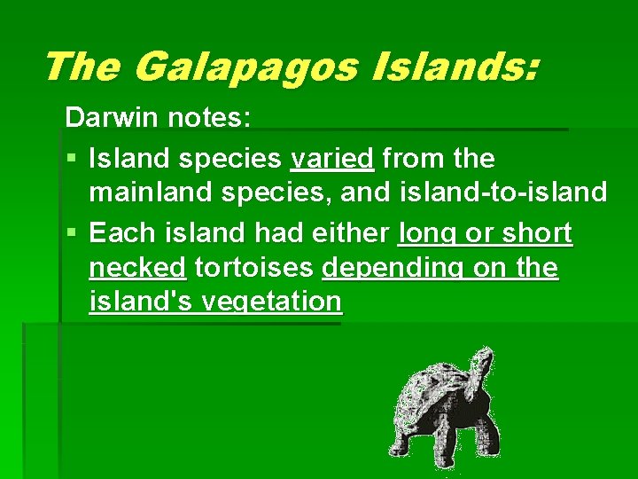 Mechanisms of Evolution The Galapagos Islands Darwin notes