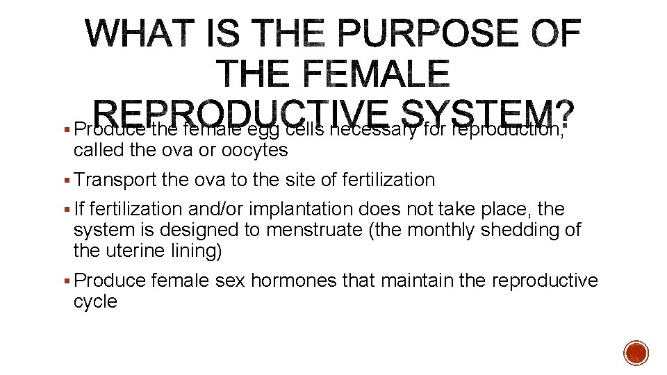 Identify the parts of the human female reproductive