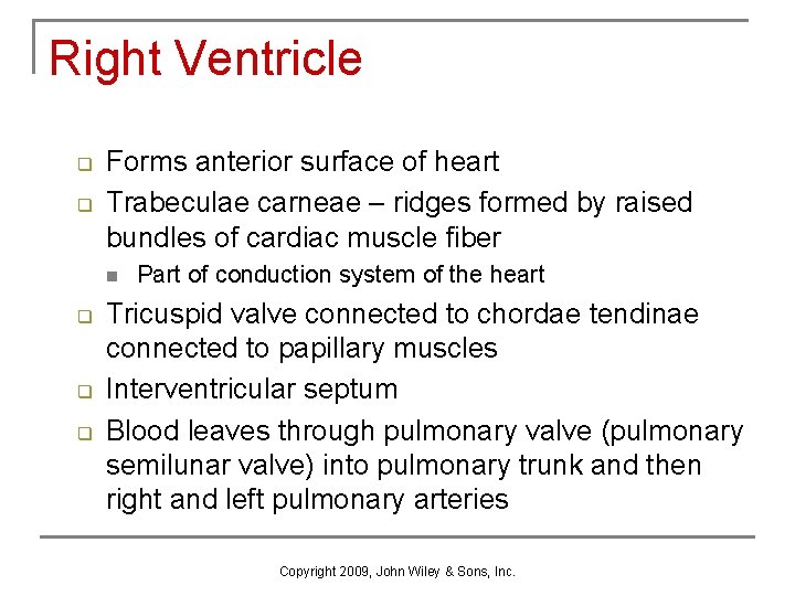 Chapter 20 The Cardiovascular System The Heart Copyright