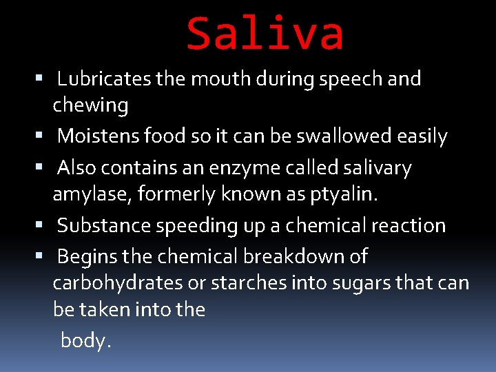 Digestive system The digestive system is responsible for