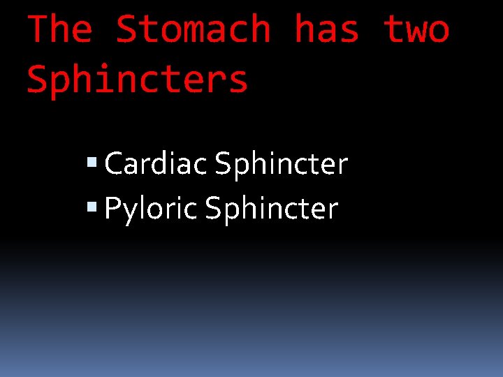 Digestive system The digestive system is responsible for