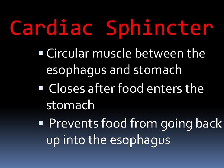 Digestive system The digestive system is responsible for
