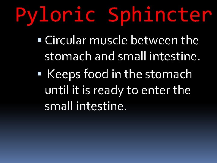 Digestive system The digestive system is responsible for