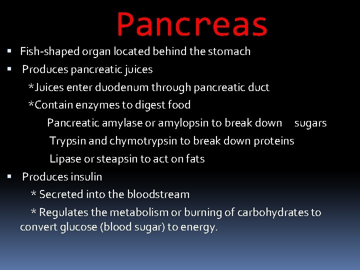 Digestive system The digestive system is responsible for