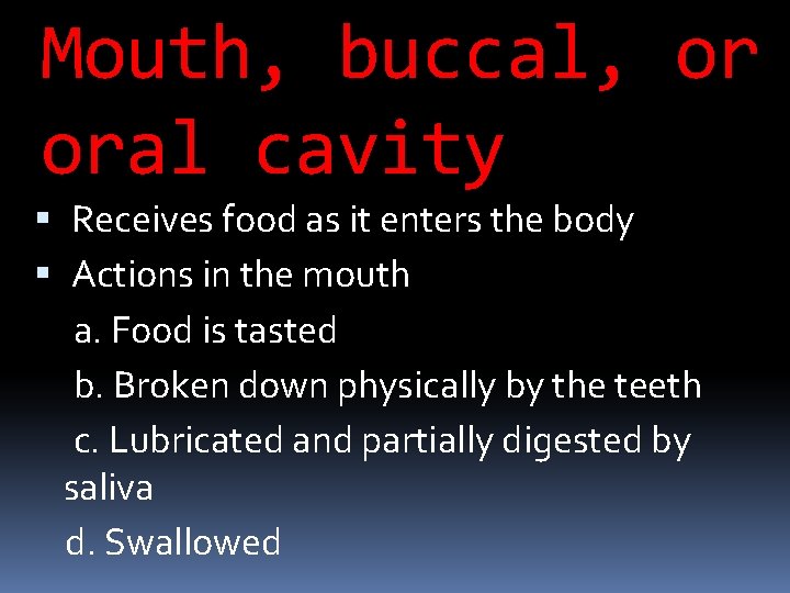 Digestive system The digestive system is responsible for