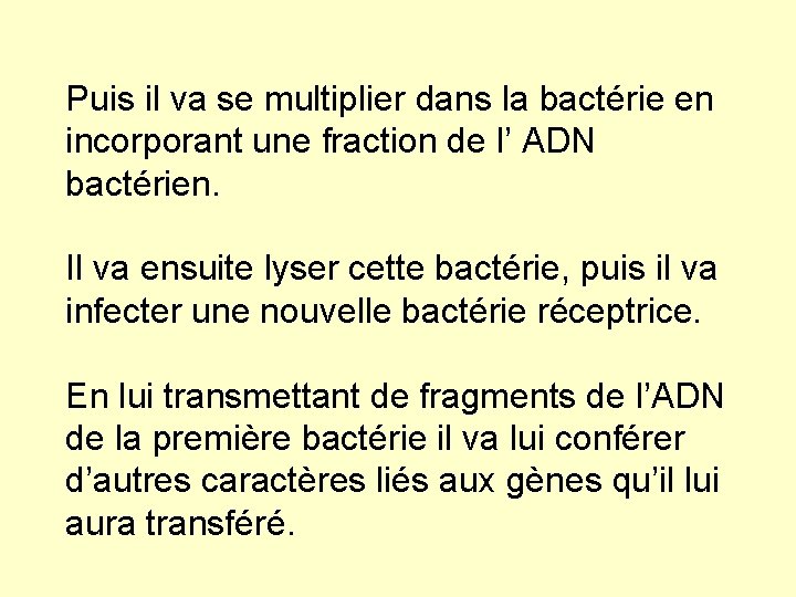 BASES DE BACTERIOLOGIE Le laboratoire de Bactriologie ralise