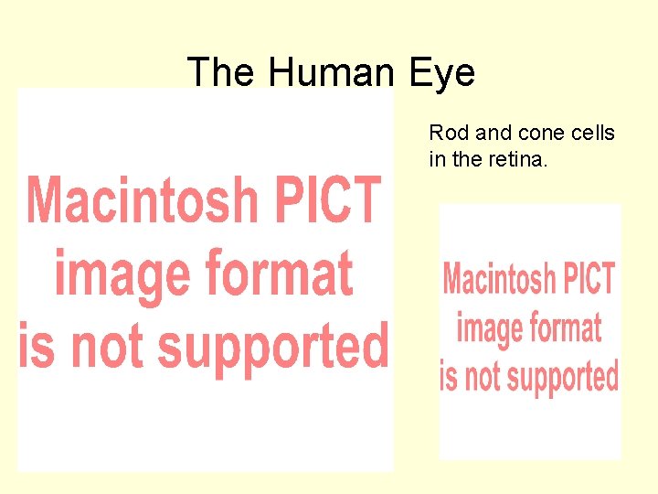 Color Vision and Pointillism Color Visible spectrum of