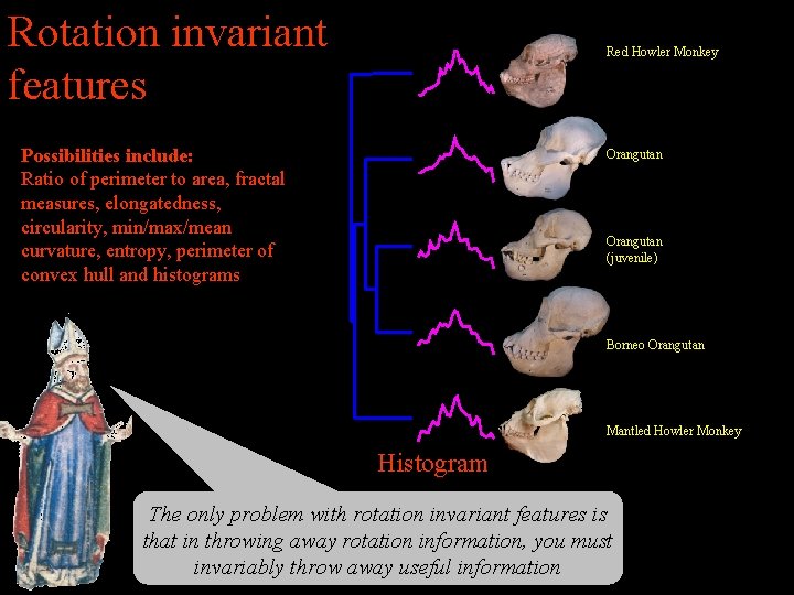 LBKeogh Supports Exact Indexing of Shapes under Rotation