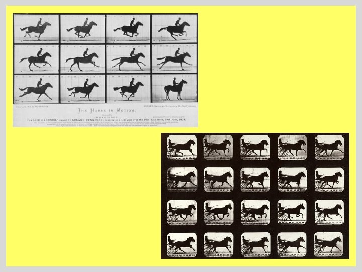 HISTORY OF PHOTOGRAPHY Kelly Chalk and Craig Dennett