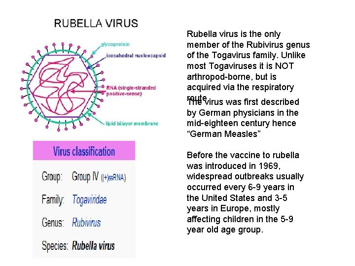 RUBELLA aka The German measles Stephanie Mejia AP