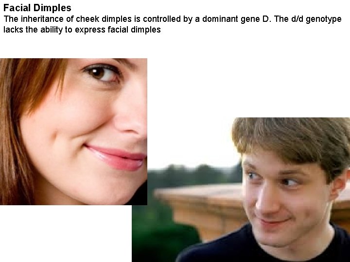 Compare and contrast the characteristics of learned behaviors