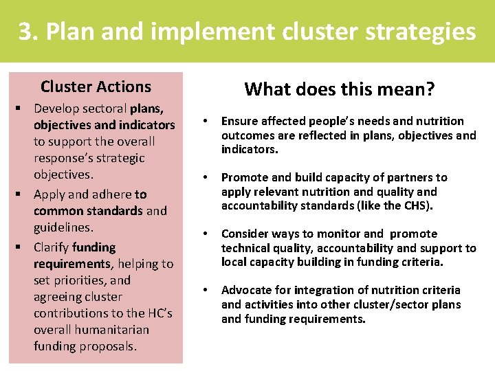 1 3 The Nutrition Cluster Roles and Responsibilities