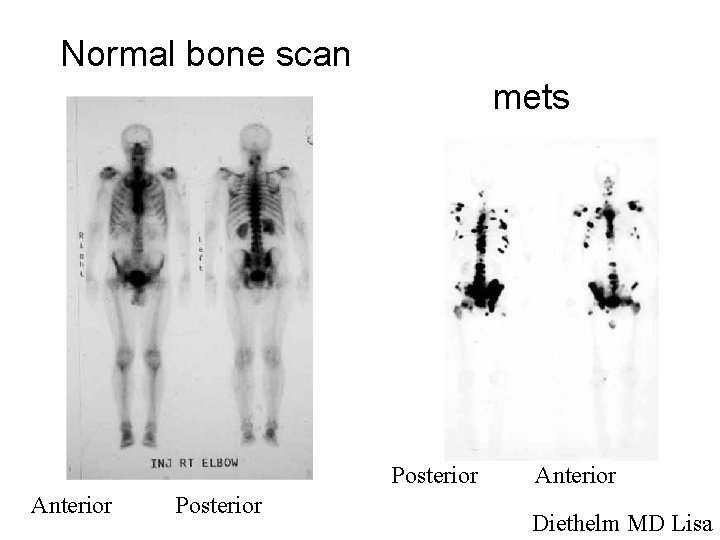 INTRODUCTION to Radiology Carol P Becker M D