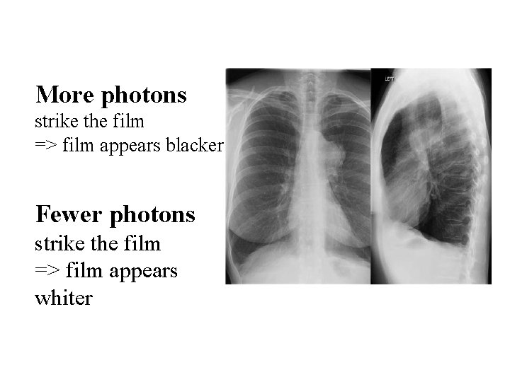 INTRODUCTION to Radiology Carol P Becker M D