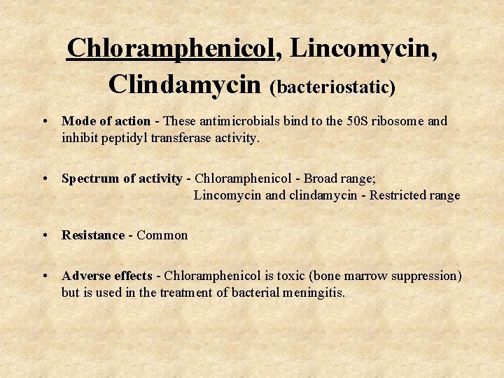 Antibiotics Protein Synthesis Nucleic Acid Synthesis and Metabolism
