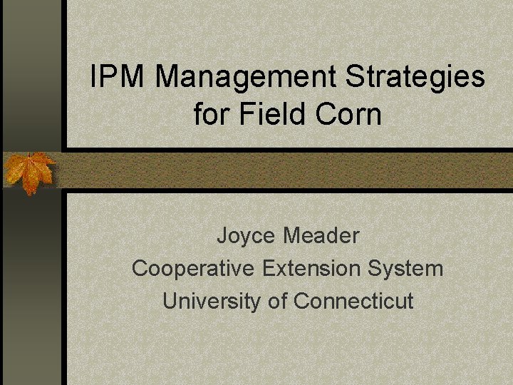 IPM Management Strategies for Field Corn Joyce Meader