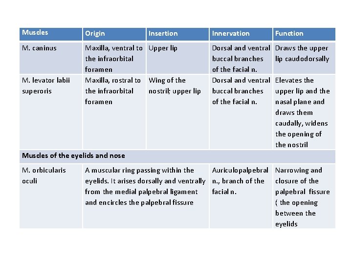CANINE ANATOMY Group members Loh Mae Chel mae