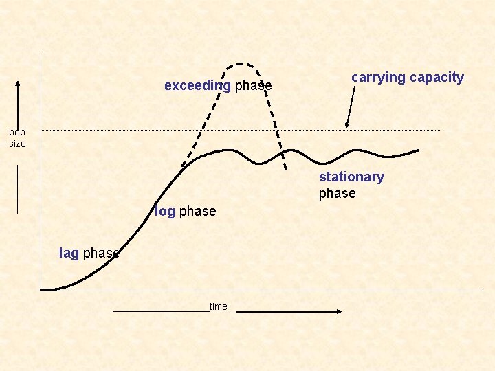 B CHANGES IN POPULATION SIZE 1 Population growth