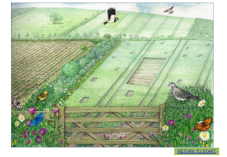 The Mosaic ARABLE FARMLAND Approach Key elements Largescale