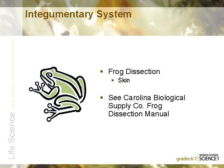 Life Science living systems and their environment Systems