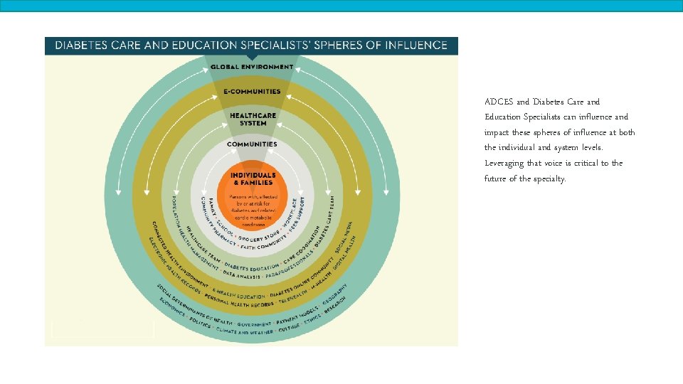 2019 2023 Strategic Plan Background ADCES Vision for