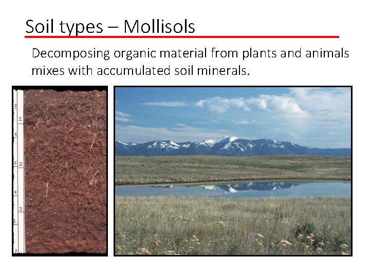 Soils Soils We know more about the movement