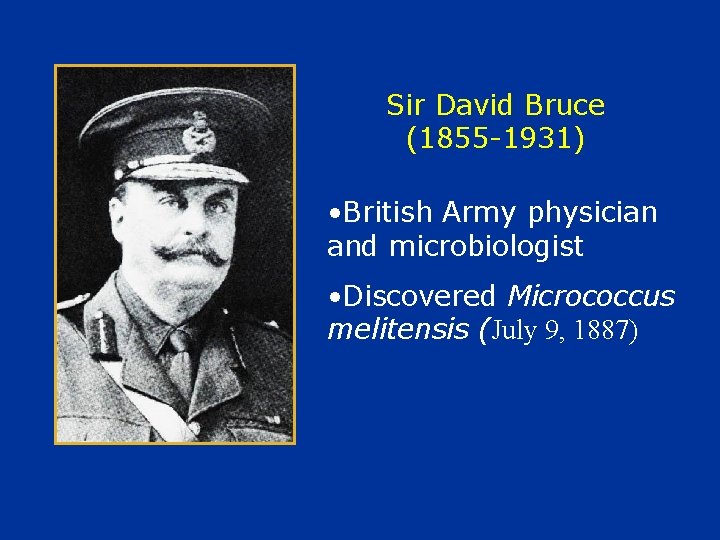 Genus BRUCELLA Dr P Sreenivasulu Reddy MD Professor