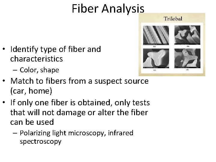 Fiber and Textile Evidence Ms Clark PVMHS Fibers