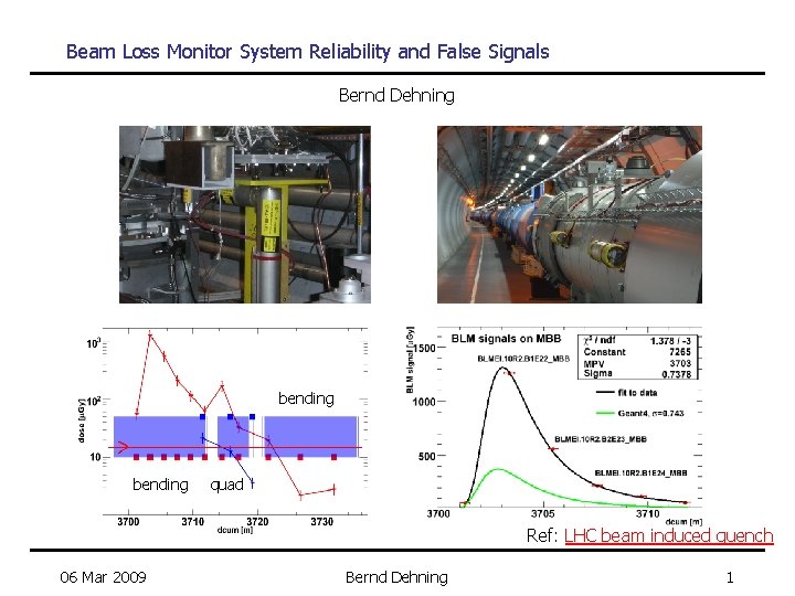 Beam Loss Monitor System Reliability and False Signals
