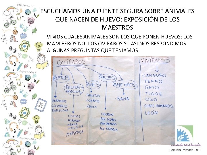 INVESTIGACIN SOBRE ANIMALES QUE NACEN DE HUEVO 1