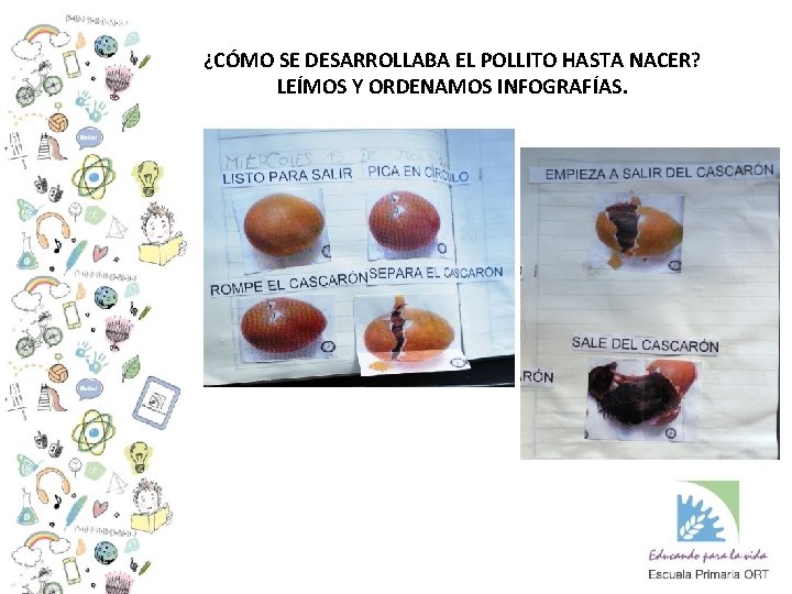 INVESTIGACIN SOBRE ANIMALES QUE NACEN DE HUEVO 1