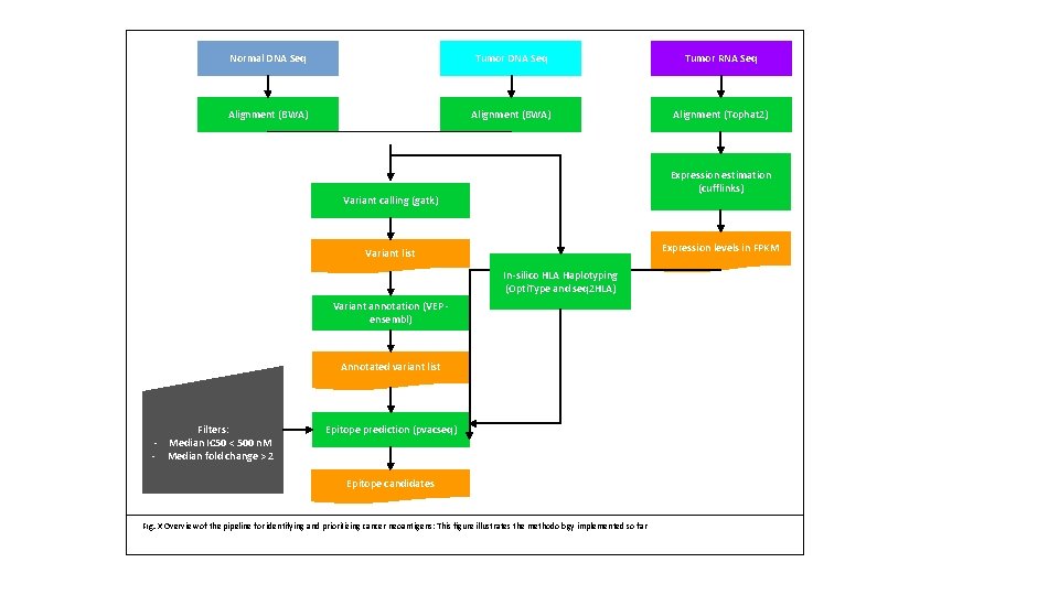 Normal DNA Seq Tumor RNA Seq Alignment BWA