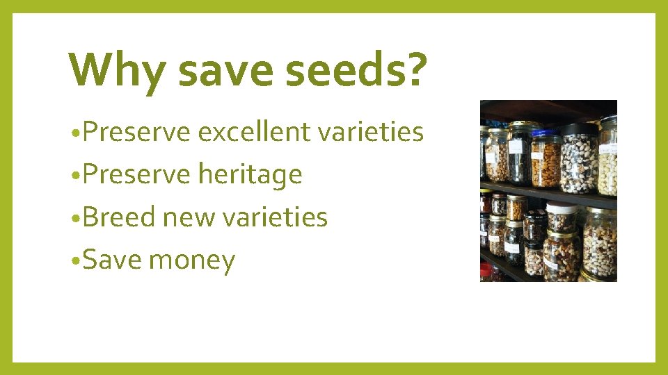 SEED SAVING Why save seeds Preserve excellent varieties