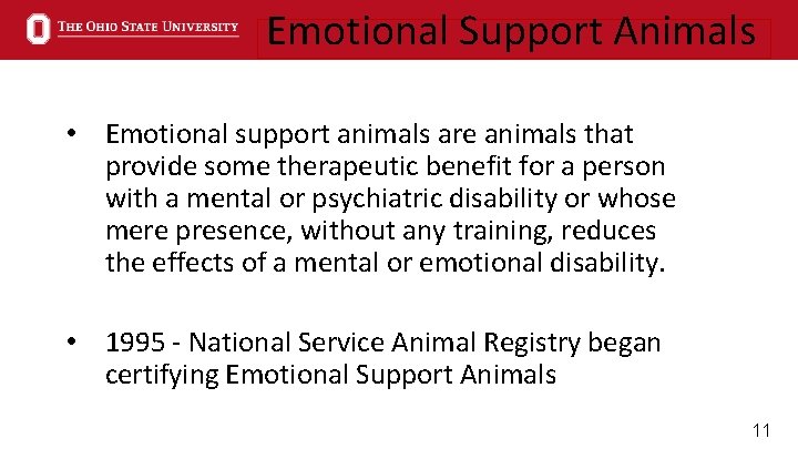 Therapy vs Service Animals Whats the difference and
