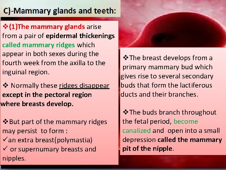 Outline The integumentary system The musculoskeletal system The