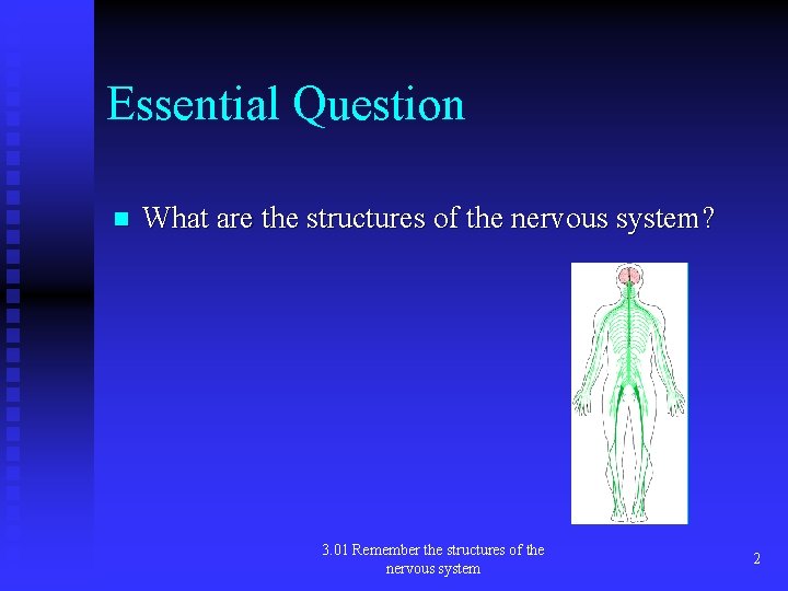 3 01 Remember the structures of the nervous