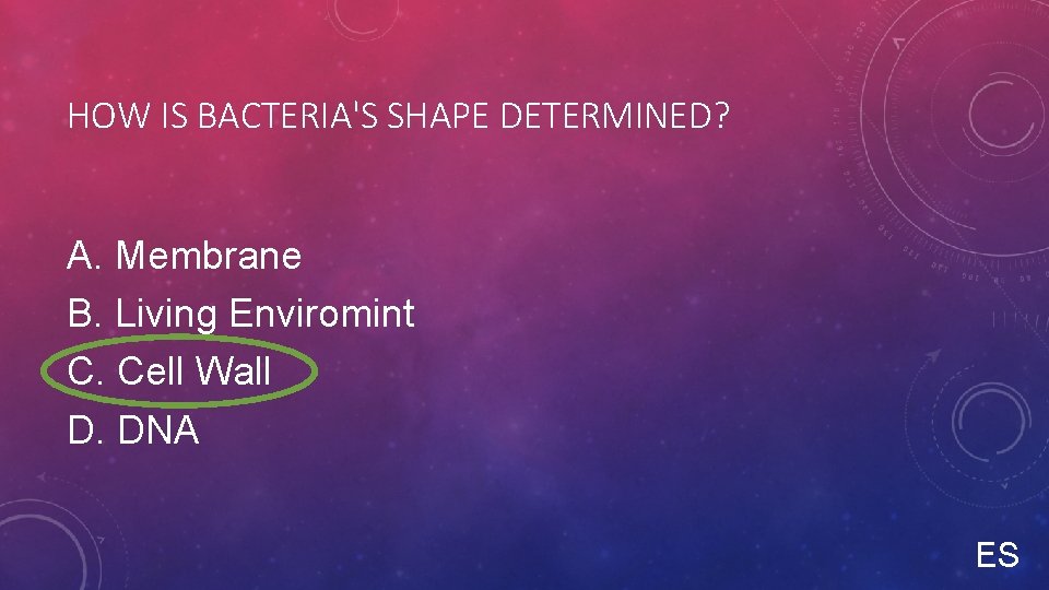 BACTERIA CLASSIFICATION AND CHARACTERISTICS GROUP 1 ASHLEY CORSO