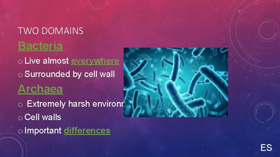 BACTERIA CLASSIFICATION AND CHARACTERISTICS GROUP 1 ASHLEY CORSO