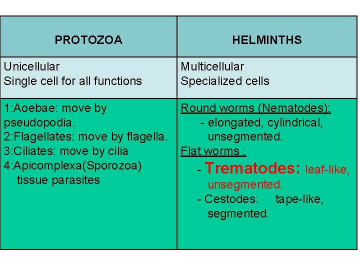 The Trematodes DR MONA BADR CLASSIFICATION OF PARASITES