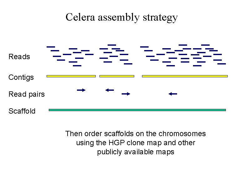 Lessons from the Human Genome Project Tim Hubbard