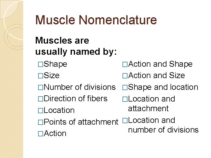 EXSC 314 Chapter 2 Neuromuscular Fundamentals PPT Series