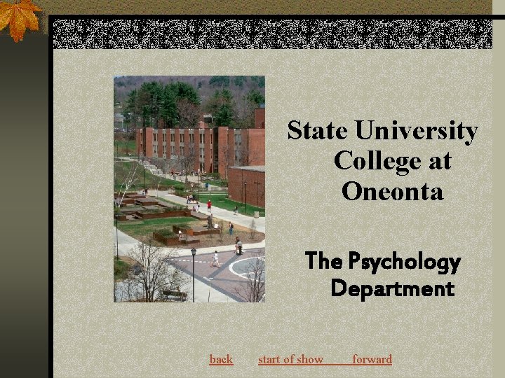 State University College at Oneonta The Psychology Department