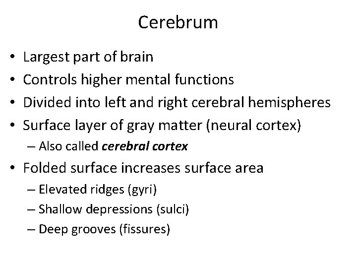 Chapter 14 The Brain and Cranial Nerves 6