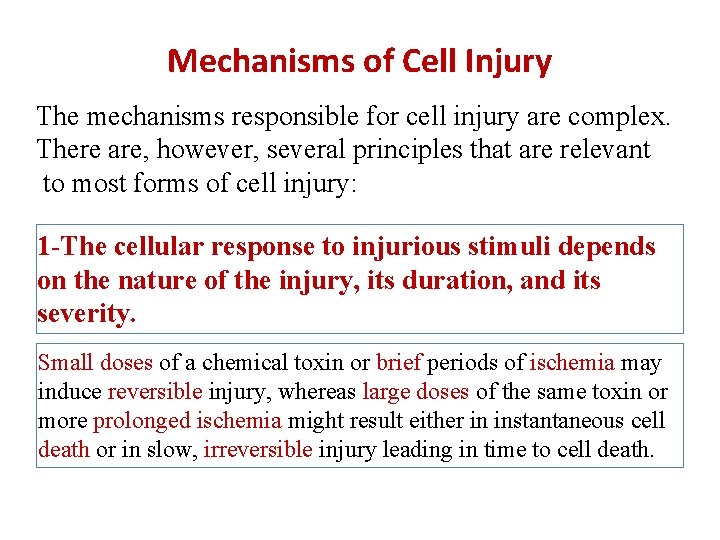 General Pathology Mechanisms of Cell Injury Dr AlSaghbini
